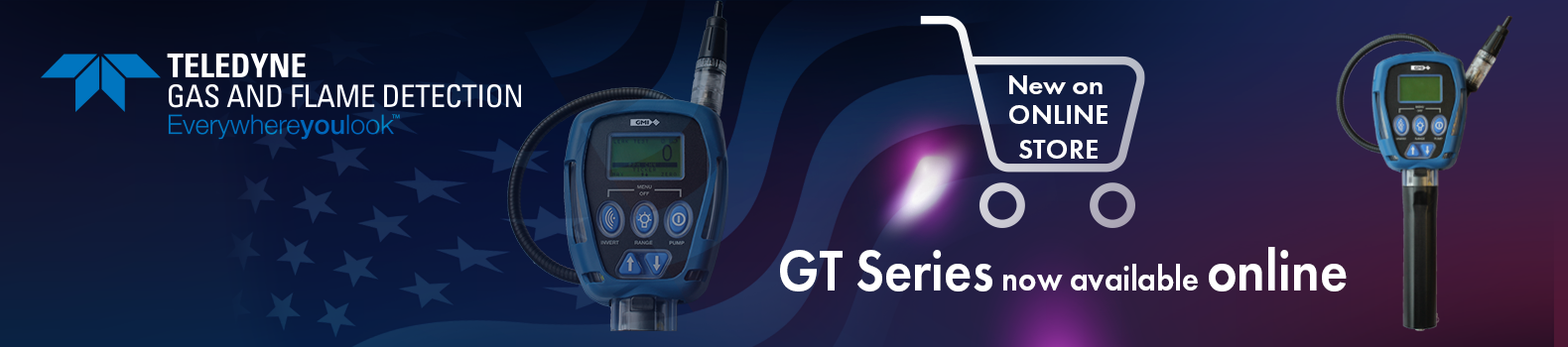 Teledyne Gas and Flame Detection Web Shop – Teledyne Detcon